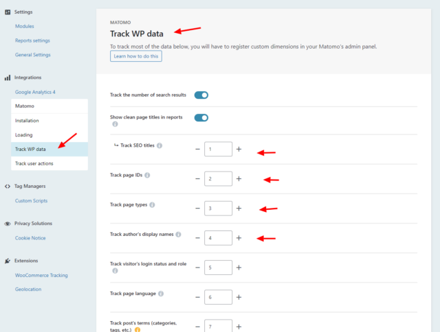 How to track WP data in Matomo by registering custom dimensions • WP Full Picture